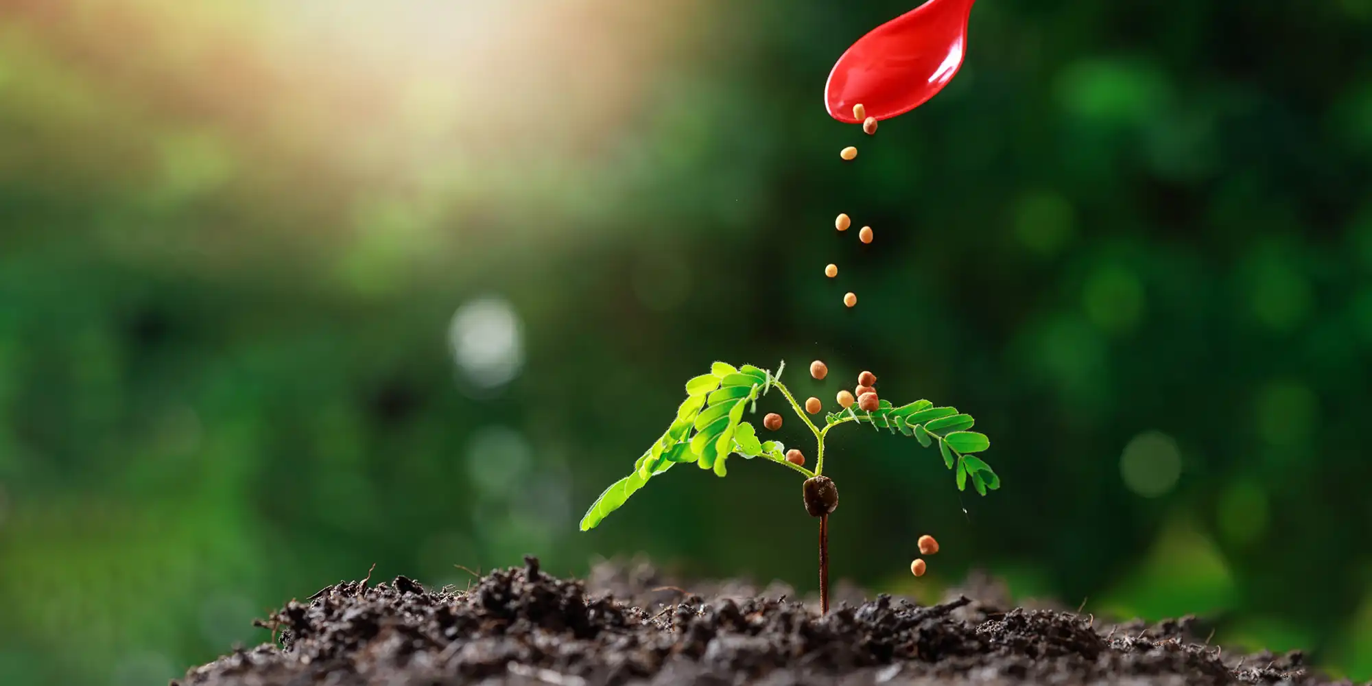 Fertilizers | METAGRO